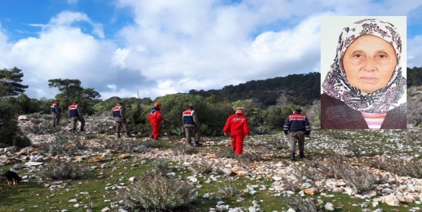 Mantar toplarken kaybolan Fatma nine aranıyor - Muğla Ajans
